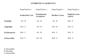 Analyzing Antibiotic Resistance, Lab Report Example