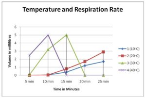 Aerobic and Anaerobic Respiration, Lab Report Example